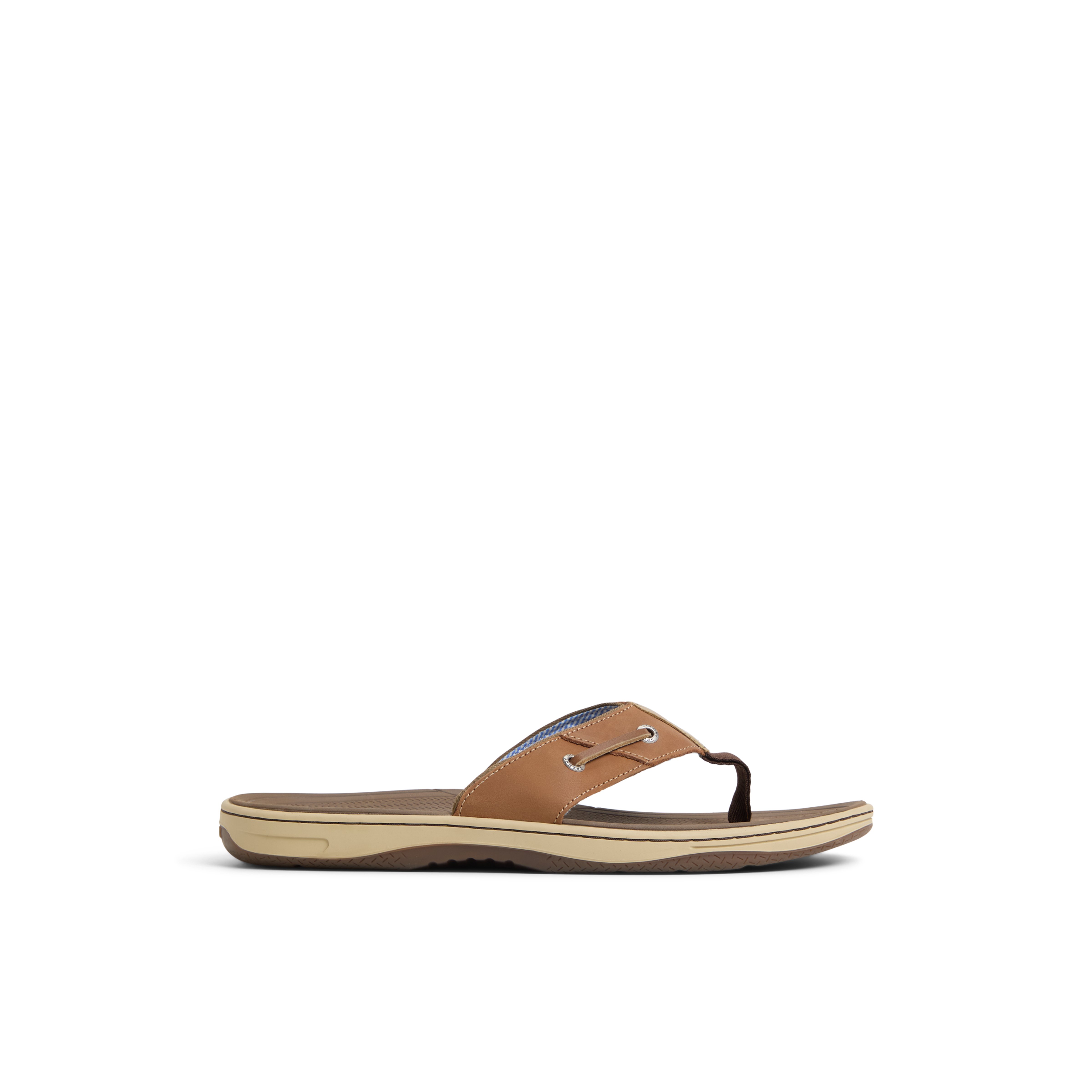 Sperry mens flip flops store